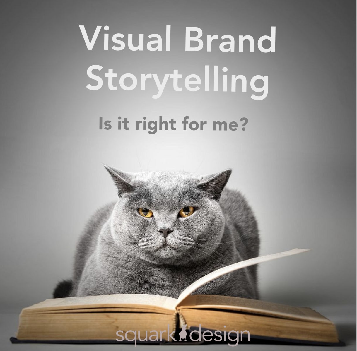 Visual Brand Storytelling: Is it right for me? | Squark Design